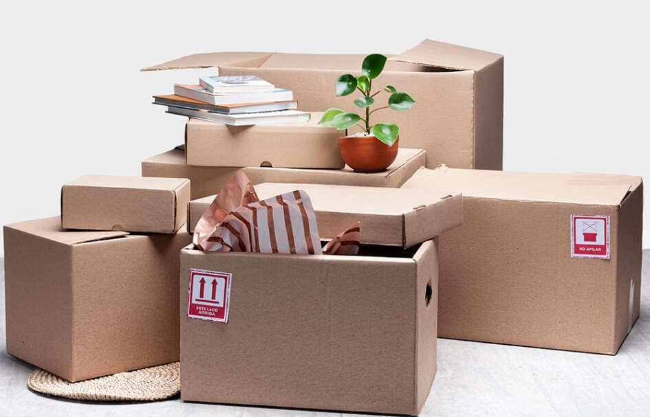 Los Cartujos Productora de Cajas y Empaques – Somos fabricantes de ...